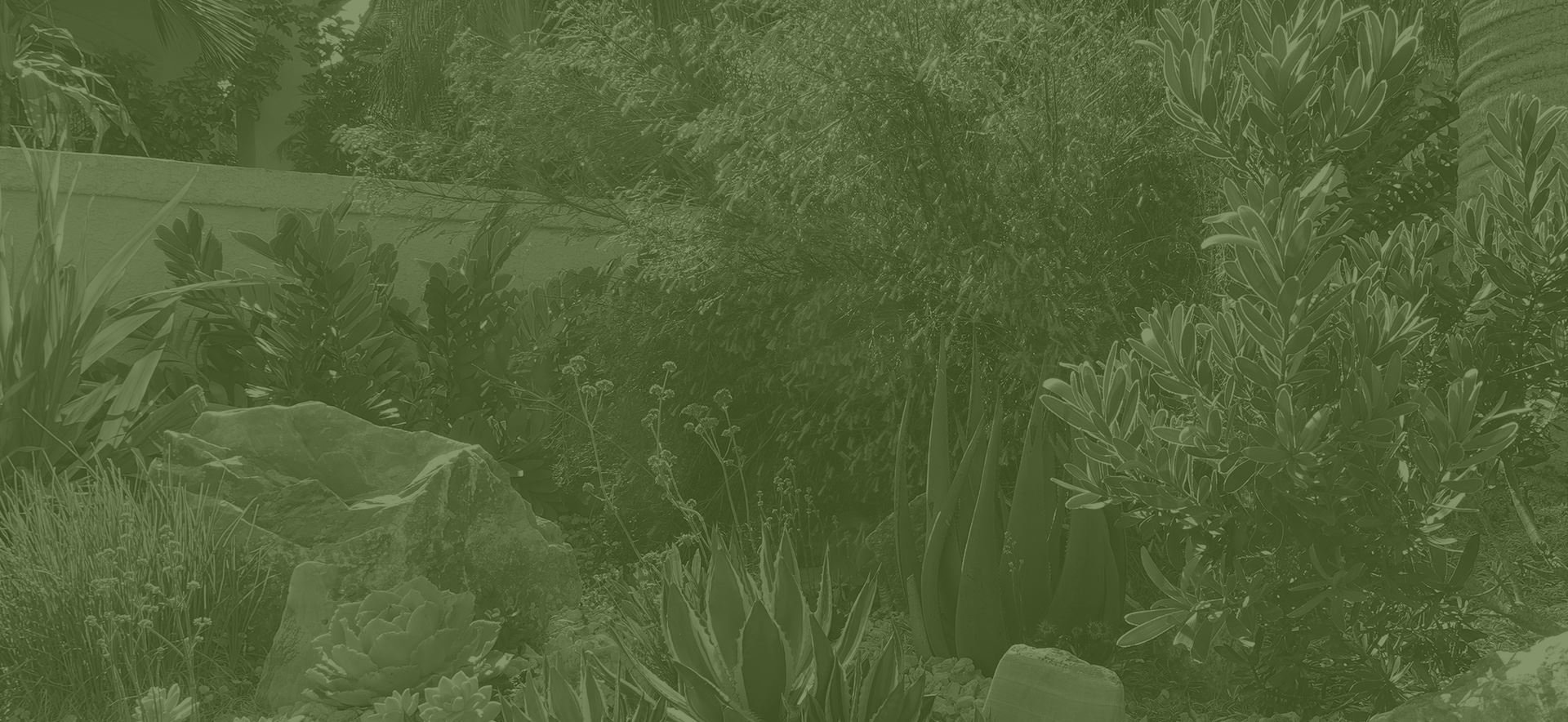 Las Vegas Landscapers | VanDorne Landscape and Design